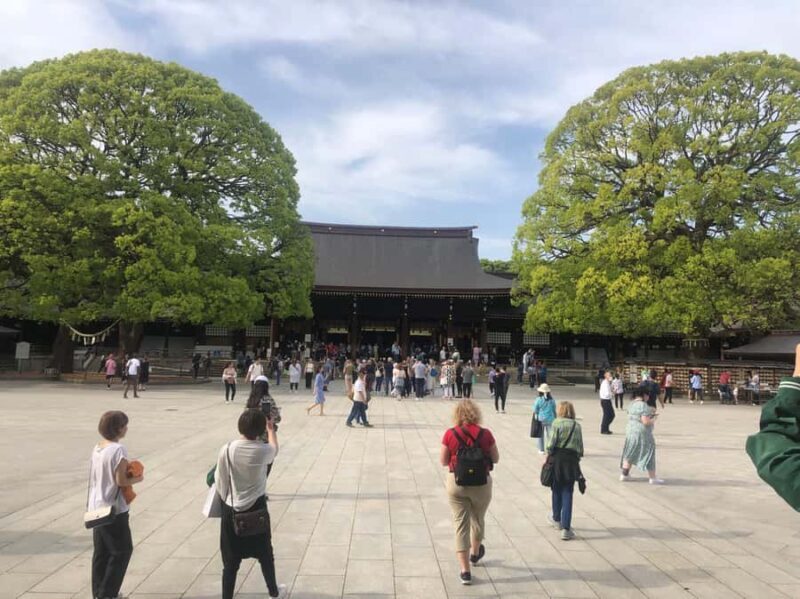 Explore Tokyo Your Way: 5h Private Customizable Walking tour - Practical Details and What You Get