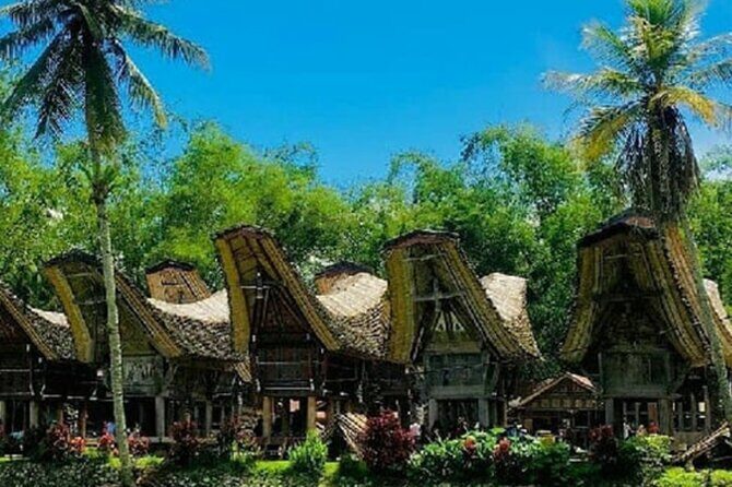 Explore Toraja Culture Heritage in 3 Days from Makassar - Key Points