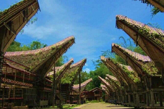Explore Toraja Culture Heritage in 3 Days from Makassar - Why This Tour Offers Great Value