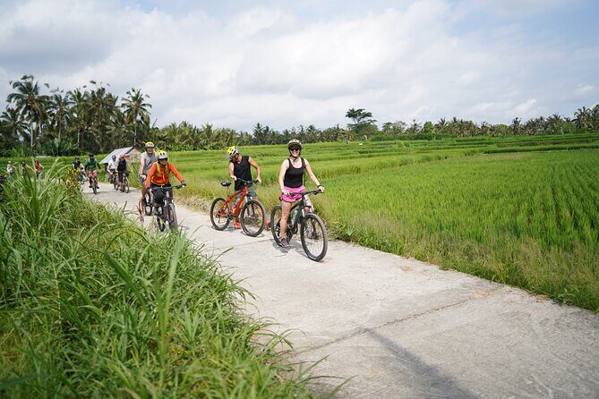 Explore Ubud with Electric Bike - Final Thoughts: Who’s This Tour Best For?