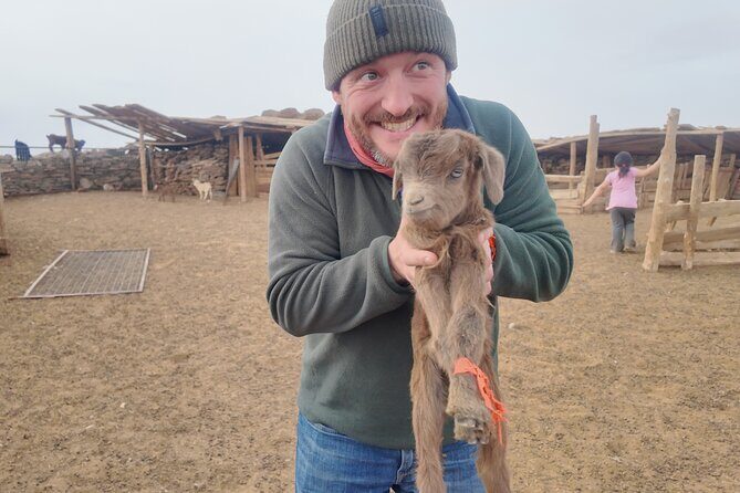 Explore Ulaanbaatar with Guided 6-Day Tour - Key Points