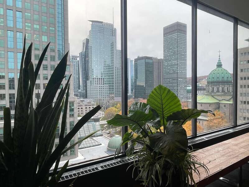 Explore Underground city & Downtown. Great tour to stay warm - The Sum Up