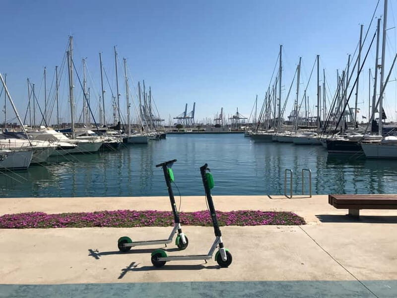 Explore Valencias Coast: Boat trip to Valencian Venice - Key Points