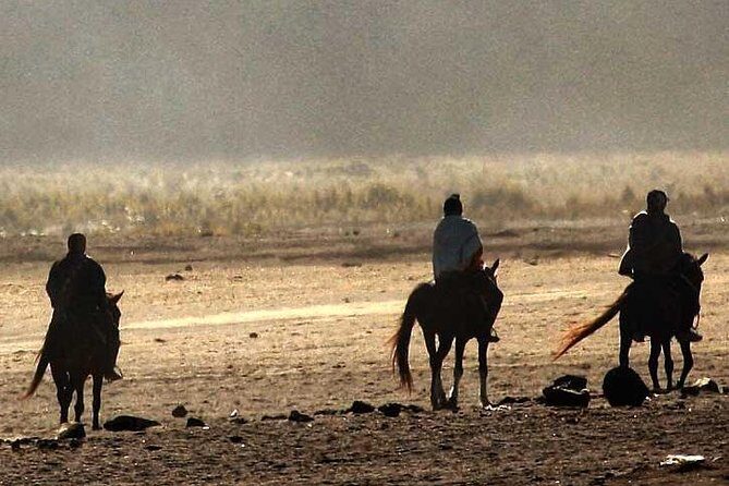 Explore volcano Bromo - start Surabaya // 2 days 1 night - Transportation and Comfort