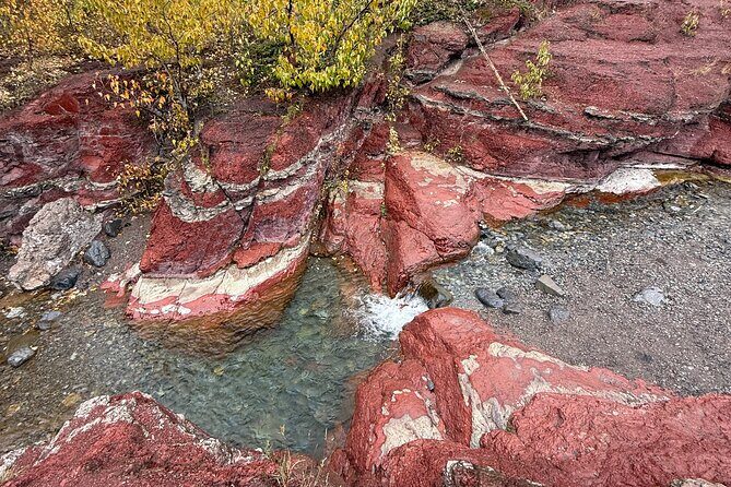 Explore Waterton National Park from Calgary Day Guided Tour - Conclusions: Who Is This Tour Best For?