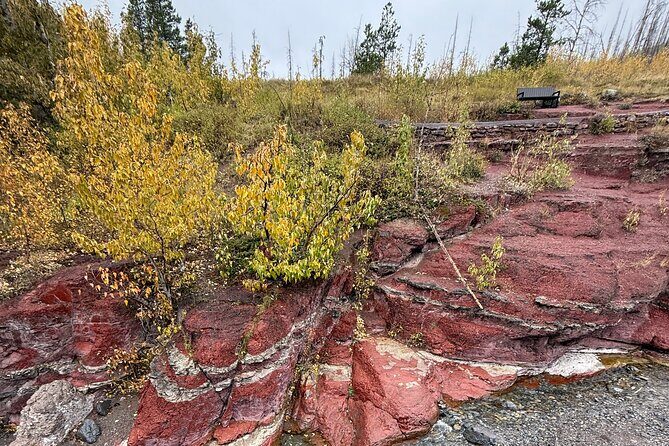 Explore Waterton National Park from Calgary private Luxury Tour - Who Should Consider This Tour?