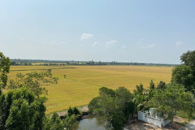 Explore Wetlands and Nature Reserve from Can Tho - The Cultural Stop at the Bamboo Craft Village