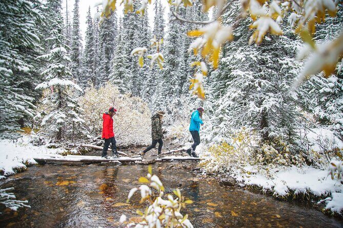 Explore Winter Wildlife Tracks Nature Walk in Canmore - Who Will Love This Tour?