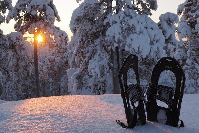 Explore Winter Woods: Snowshoe walk with local Biologist - Key Points
