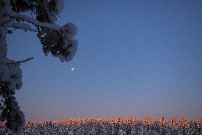 Explore Winter Woods: Snowshoe walk with local Biologist - FAQs