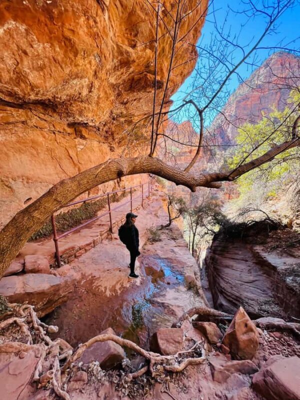 Explore Zion: Private Hiking Photography Tour from Las Vegas - Why This Tour Offers Great Value