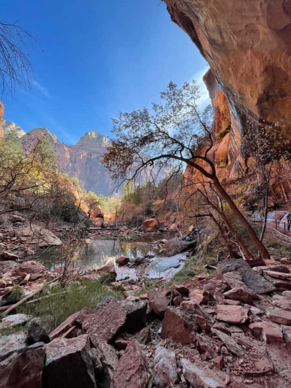 Explore Zion: Private Hiking Photography Tour from Las Vegas - Who Should Consider This Tour?