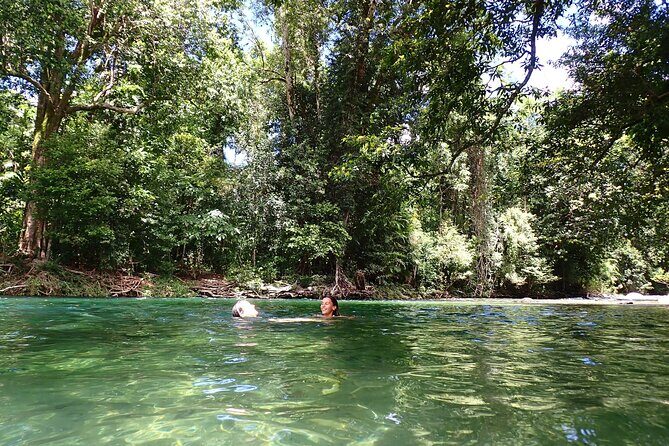 Explorer Tour by Cairns Waterfalls - How the Tour Works in Practice
