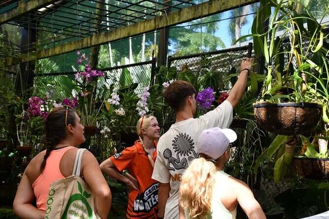 Explorer Tour by Cairns Waterfalls - Who Should Take This Tour?
