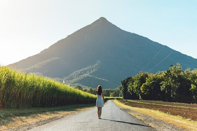 Explorer Tour by Cairns Waterfalls - Scenic Drive and Northern Beaches