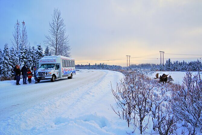 Exploring Anchorage on Winter Sundays - An Extensive Look at the Anchorage Winter Sunday Tour