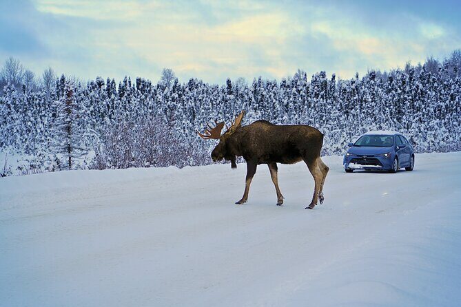Exploring Anchorage on Winter Sundays - FAQ
