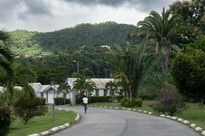 Exploring and Tasting Roseau | Full-Day Tour - Authentic Experiences and Honest Insights