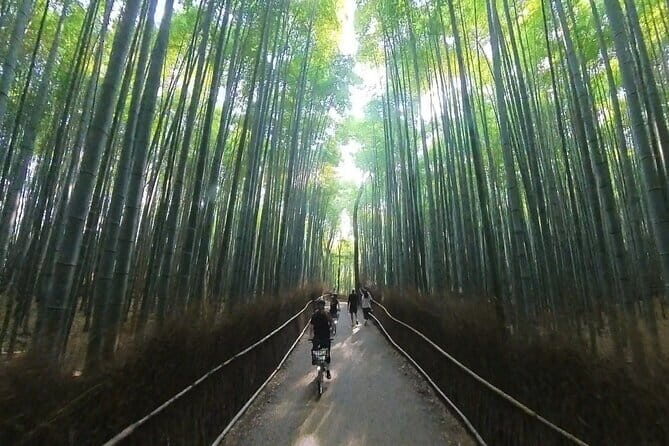 Exploring Arashiyama in a small group? E-bike tour is perfect! - A Closer Look at This Kyoto E-bike Adventure