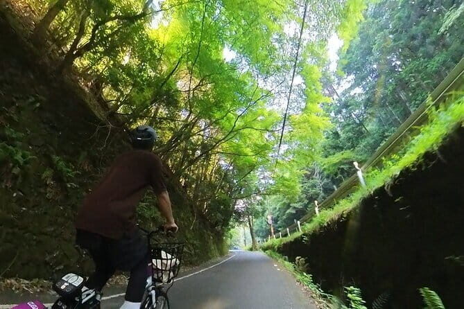 Exploring Arashiyama in a small group? E-bike tour is perfect! - The Experience — What You Can Expect