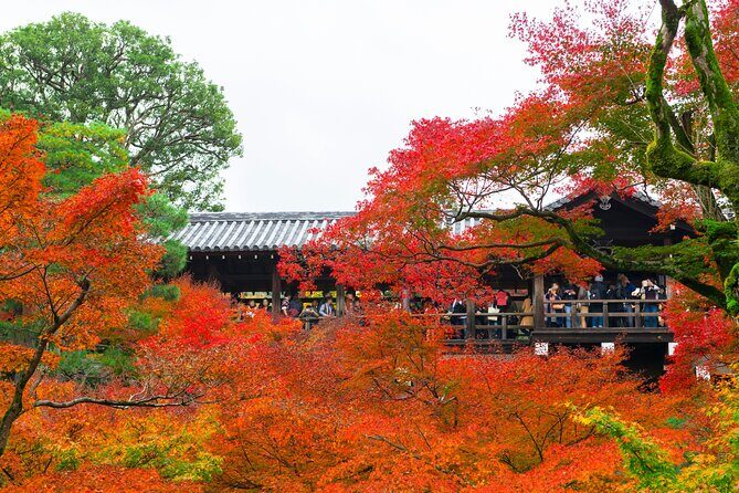 Exploring Autumn Foliage: Tofukuji, Fushimi Inari, and Uji Tour - Key Points