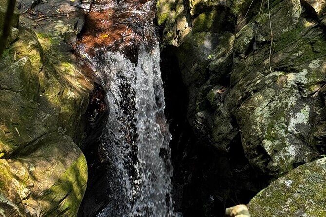 Exploring Bach Ma Trekking Hue National Park - The Journey from Hue to Bach Ma National Park