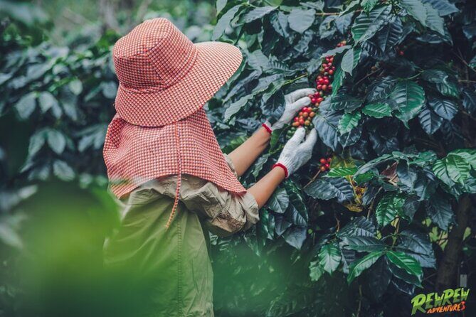 Exploring Dalat's Countryside Day Tour by Private Car - An In-Depth Look at the Dalat Countryside Tour