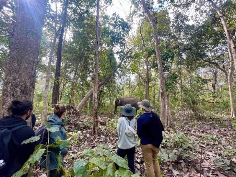 Exploring Don Village & Yok Don National Park - Authentic Perspectives from Reviews