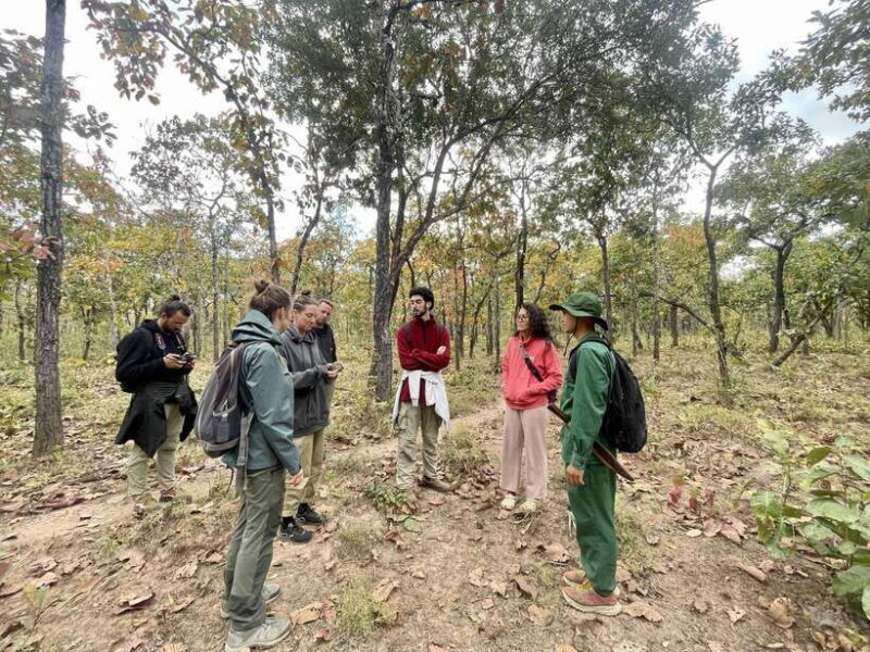 Exploring Don Village & Yok Don National Park - Who Will Love This Tour?