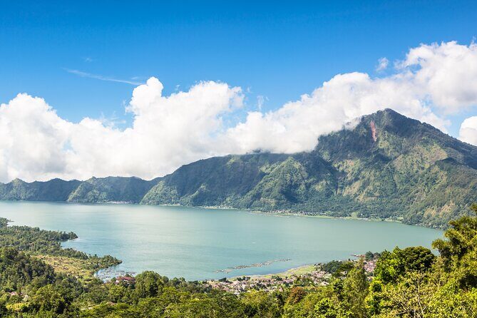 Exploring Kintamani with VW Safari Open Car - Coffee Culture at Satria Agrowisata