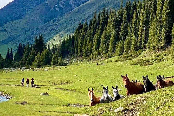 Exploring Kyrgyzstan in 9 days from Bishkek - Practical Insights and Value