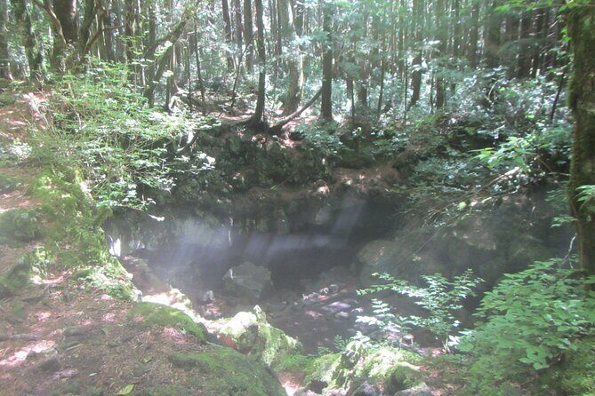 Exploring Mt Fuji Ice Cave and Sea of Trees Forest - Final Thoughts