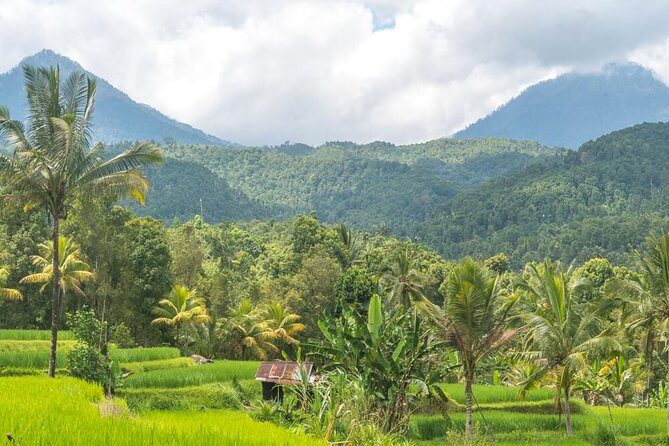 Exploring Munduk Village (Waterfalls, rice terrace, Traditional local house) - The Sum Up