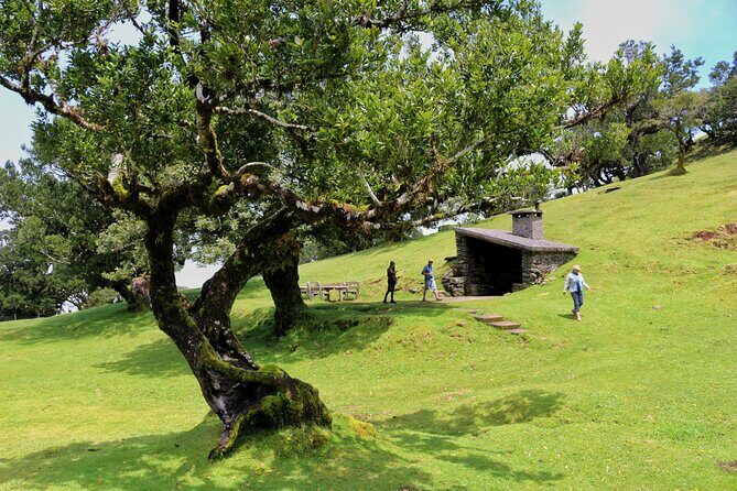Exploring new Northwest frontiers: Beyond Madeira in 4x4 tour - FAQ