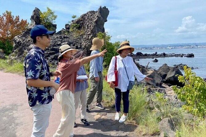 Exploring Sakurajima's History Half Day Walking Tour in Kagoshima - An In-Depth Look at the Sakurajima Experience