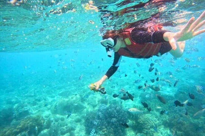 Exploring Snorkeling Tour at Mun Island Marine Park in Nha Trang - Price and Value: Is it Worth It?