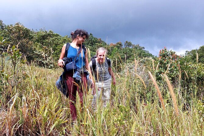 Exploring the Best of Kampot and Kep in a Full-Day Tour - Who Should Book This Tour?