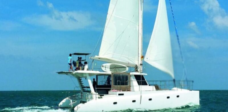 Exploring the Eastern Coast: A Week of Beaches and Reefs - Who Will Love This Tour?