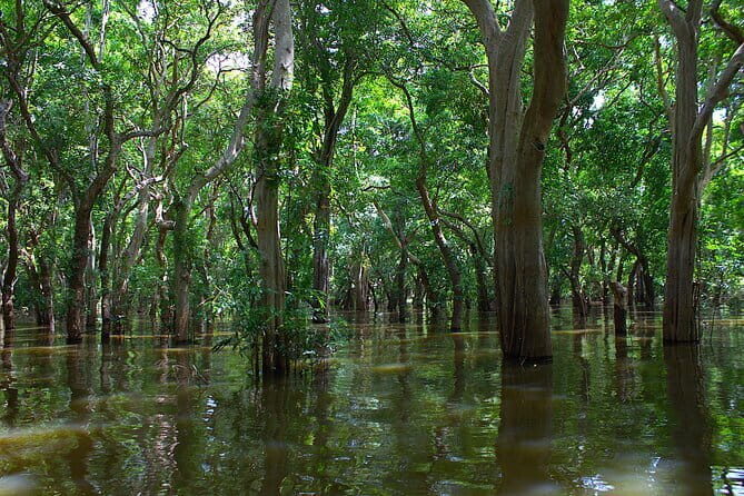 Exploring the Enchanting Kampong Phluk Floating Village - Who Will Love This Tour?