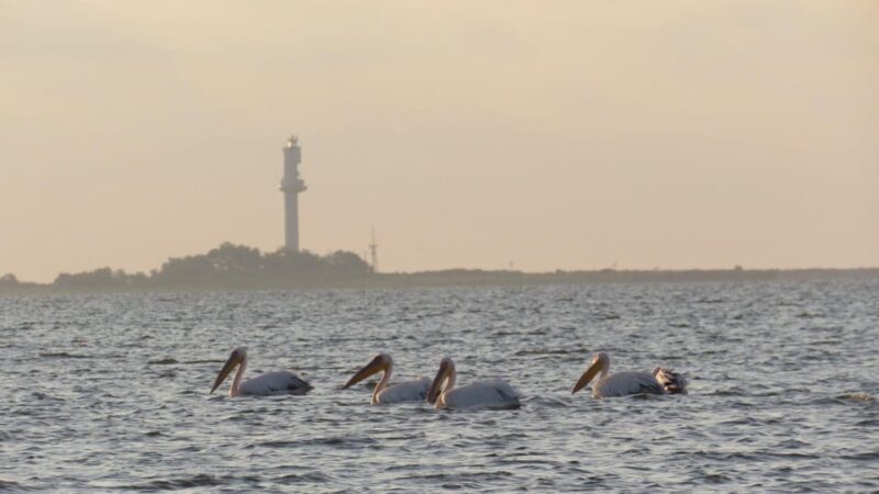 Exploring the Magic of the Danube Delta through photo lenses - Key Points