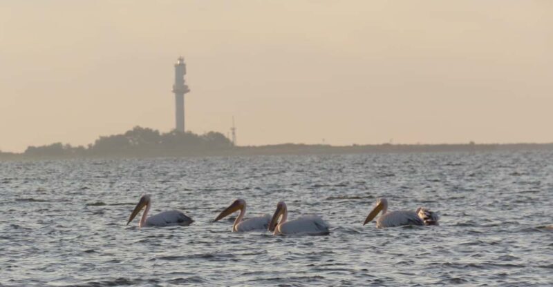 Exploring the Magic of the Danube Delta through photo lenses - A Closer Look at the Danube Delta Photography Tour