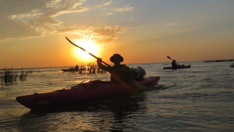 Exploring the Magic of the Danube Delta through photo lenses - What Past Travelers Say
