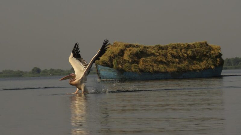 Exploring the Magic of the Danube Delta through photo lenses - Final Thoughts
