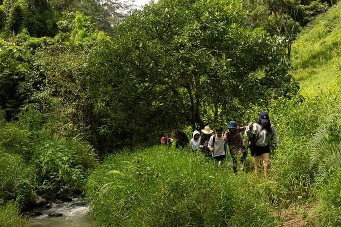 Exploring the Seven Tier Waterfall Tour - The BBQ Feast in Nature
