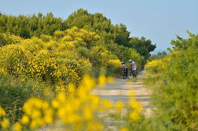 Exploring Vodice on Two Wheels - What to Expect During the Ride