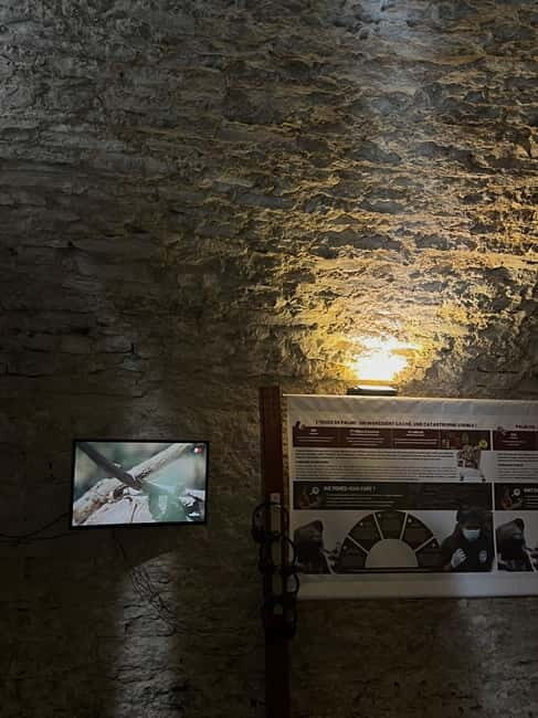 Exposition "Les forêts en souffrance" & Dégustation de vins - An In-Depth Look at the "Les forêts en souffrance" & Wine Tasting Tour