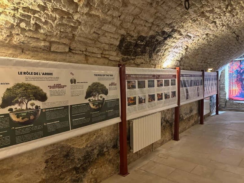 Exposition "Les forêts en souffrance" & Dégustation de vins - Key Points
