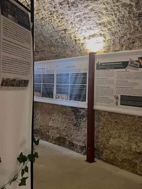 Exposition "Les forêts en souffrance" & Dégustation de vins - Who Should Consider This Experience?