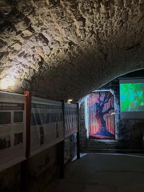 Exposition "Les forêts en souffrance" & Dégustation de vins - Final Thoughts