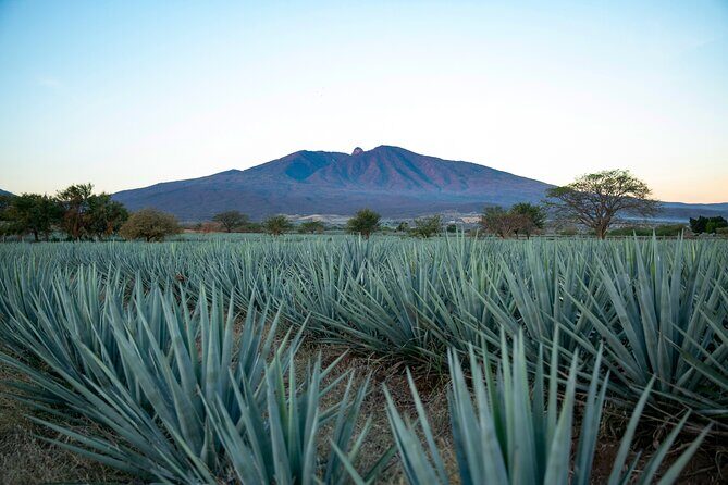 Express Dawn - Final Thoughts